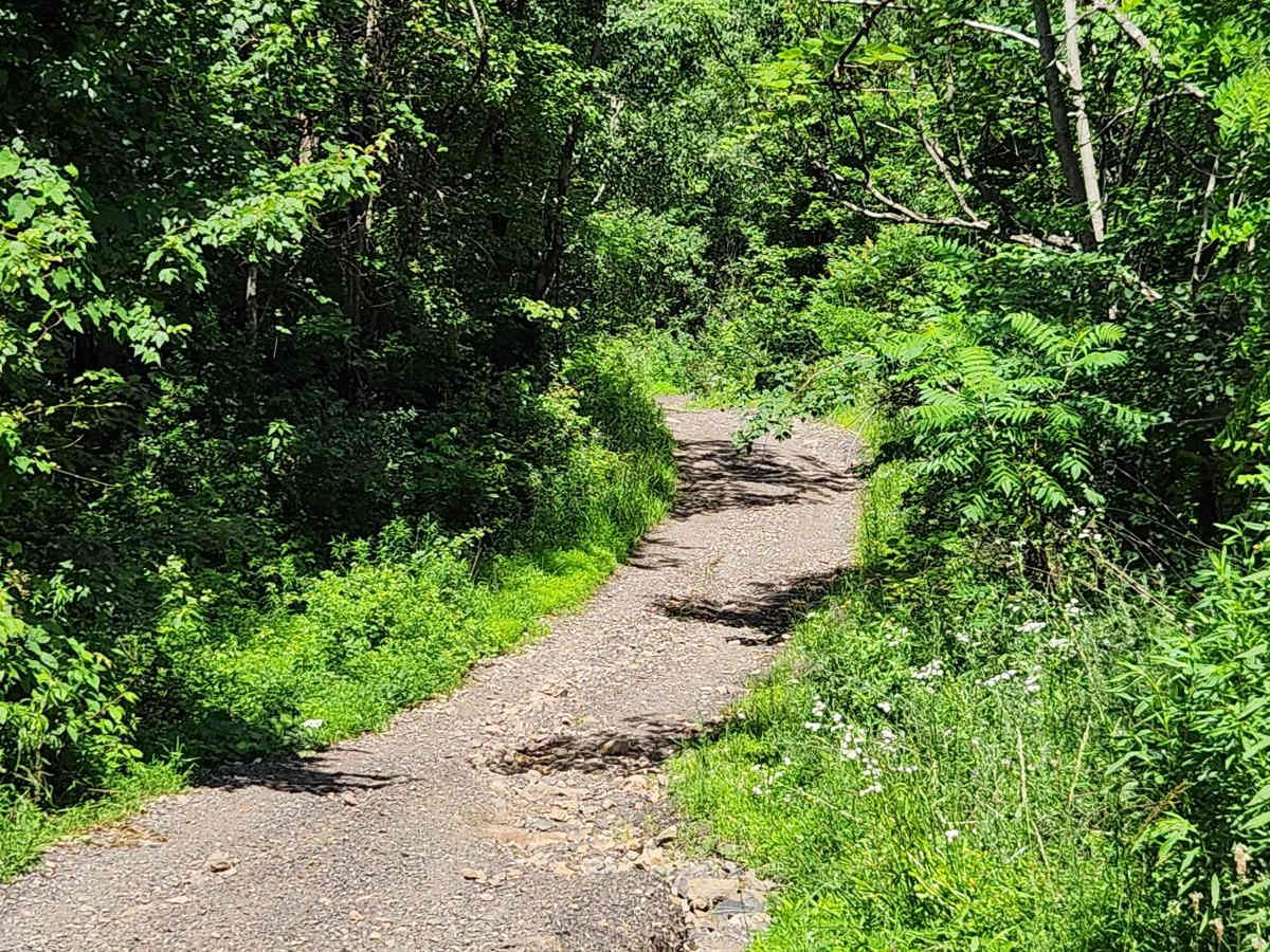 Trail 6B - Rock Run Recreation Area | Off-Road Trail Maps, Difficulty ...