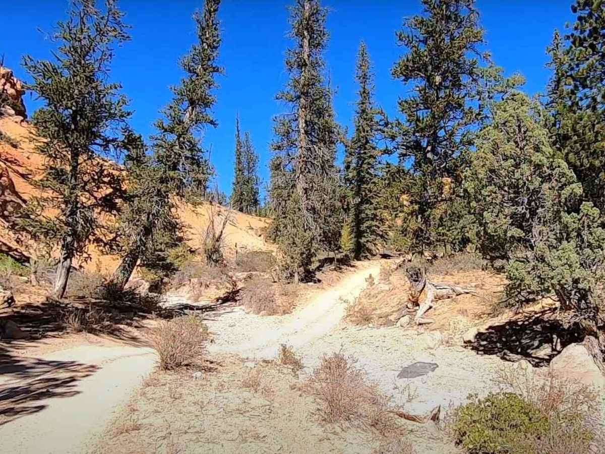 Barney Cove ATV Trail-NPS33014 | Off-Road Trail Maps, Difficulty, Trail ...