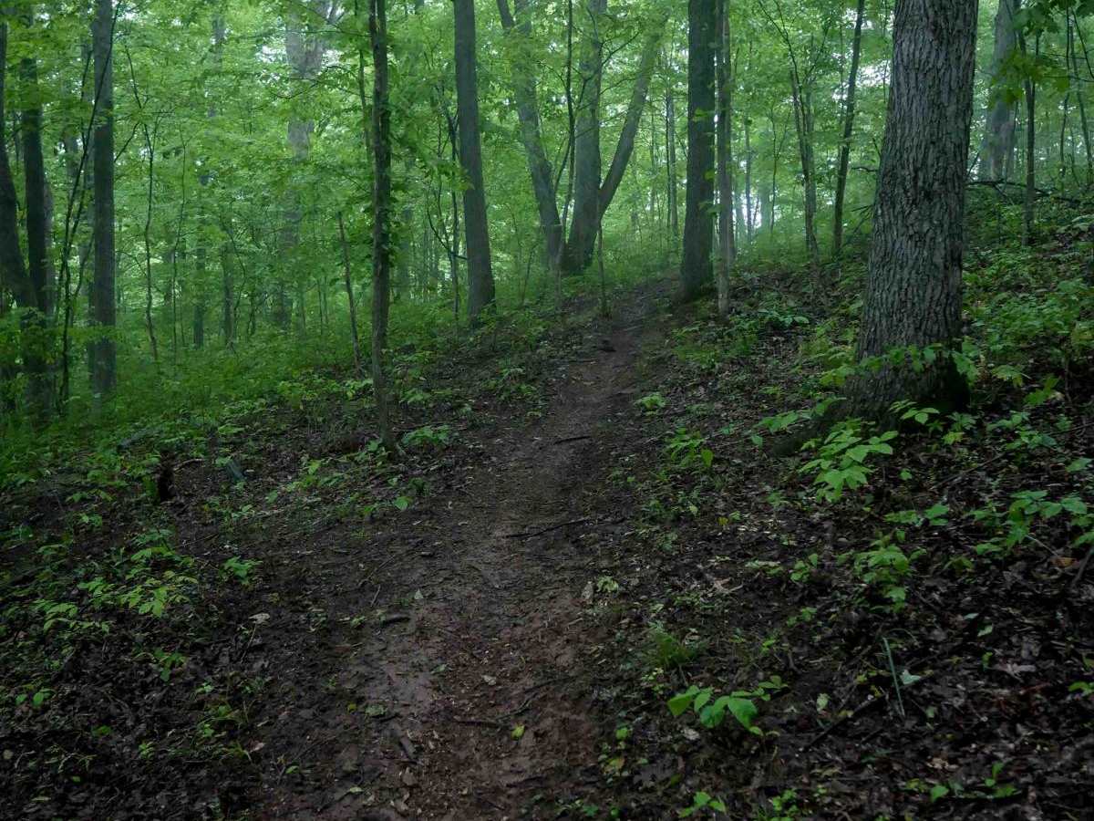T42 | Off-Road Trail Maps, Difficulty, Trail Status | onX Offroad