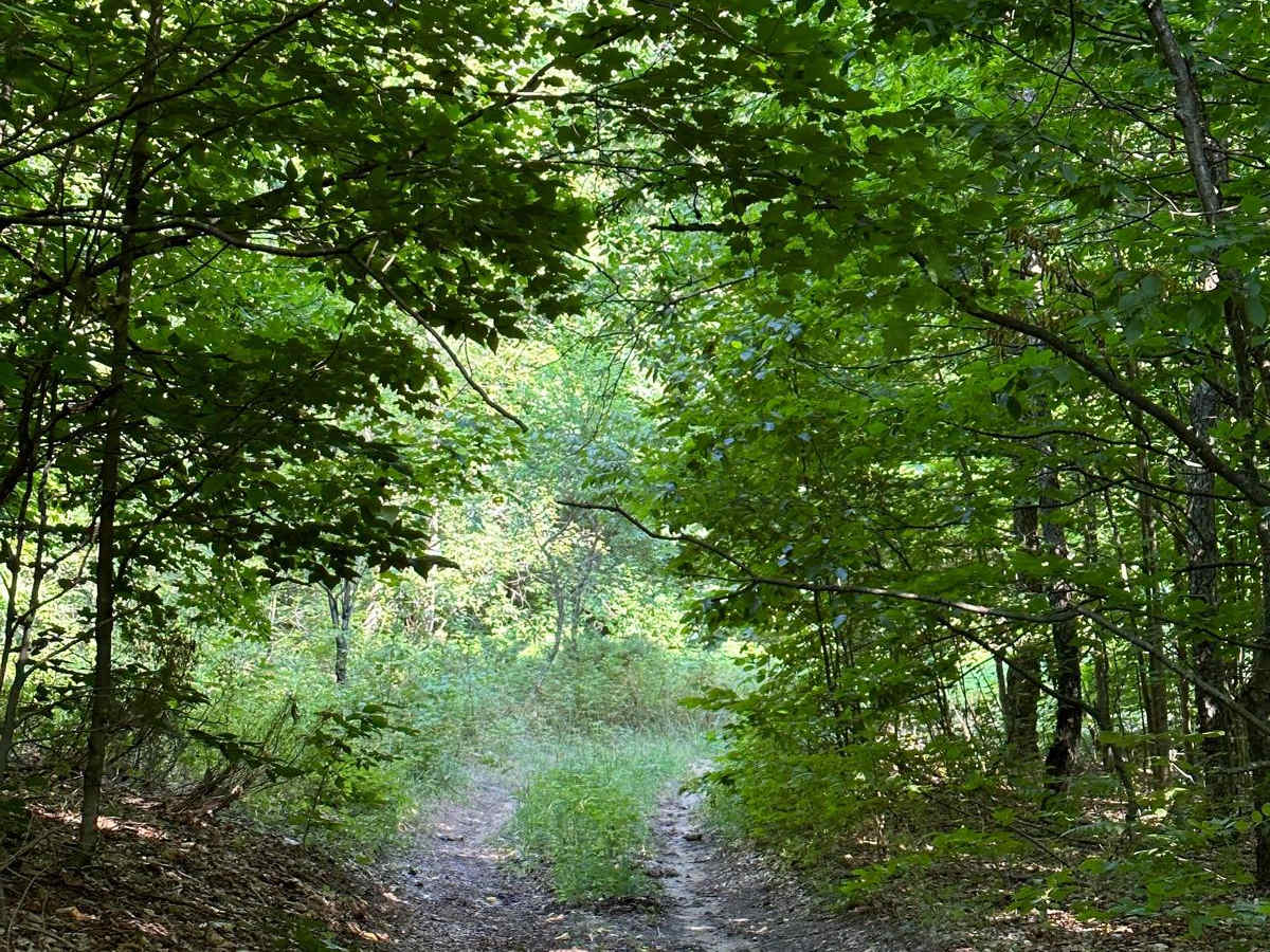 Beeman Road Spur | Off-Road Trail Maps, Difficulty, Trail Status | onX ...