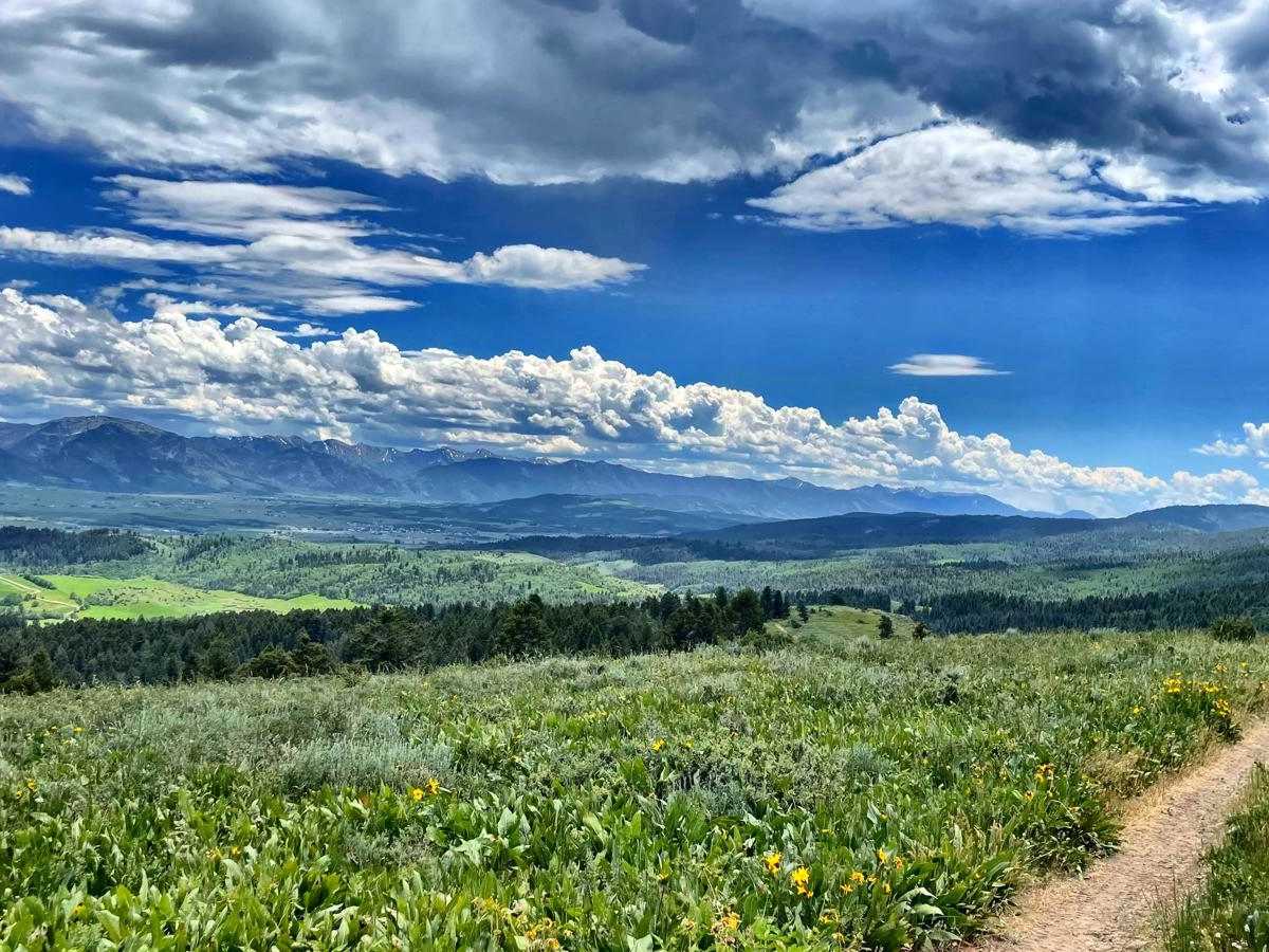 Old Man Ridge | Off-Road Trail Maps, Difficulty, Trail Status | onX Offroad
