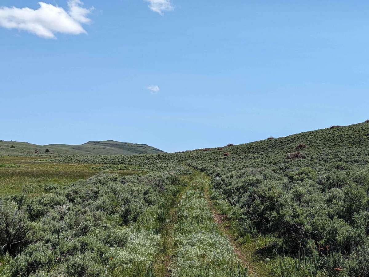 Virginia Valley to Stone House Road (Oregon BDR) | Off-Road Trail Maps ...