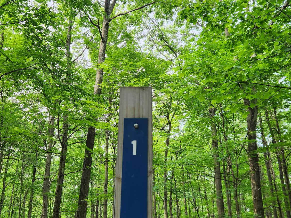 Trail 1 - Rock Run Recreation Area | Off-Road Trail Maps, Difficulty ...