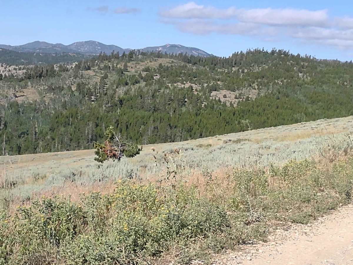 Limestone Mtn Rd (FS 326) | Off-Road Trail Maps, Difficulty, Trail ...