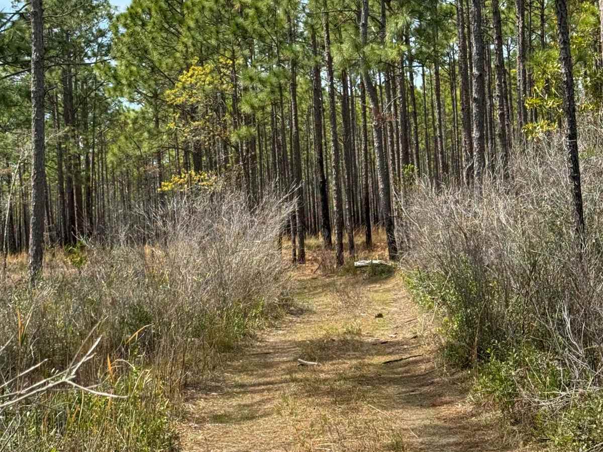 Pringle Road Spur 1 | Off-Road Trail Maps, Difficulty, Trail Status ...