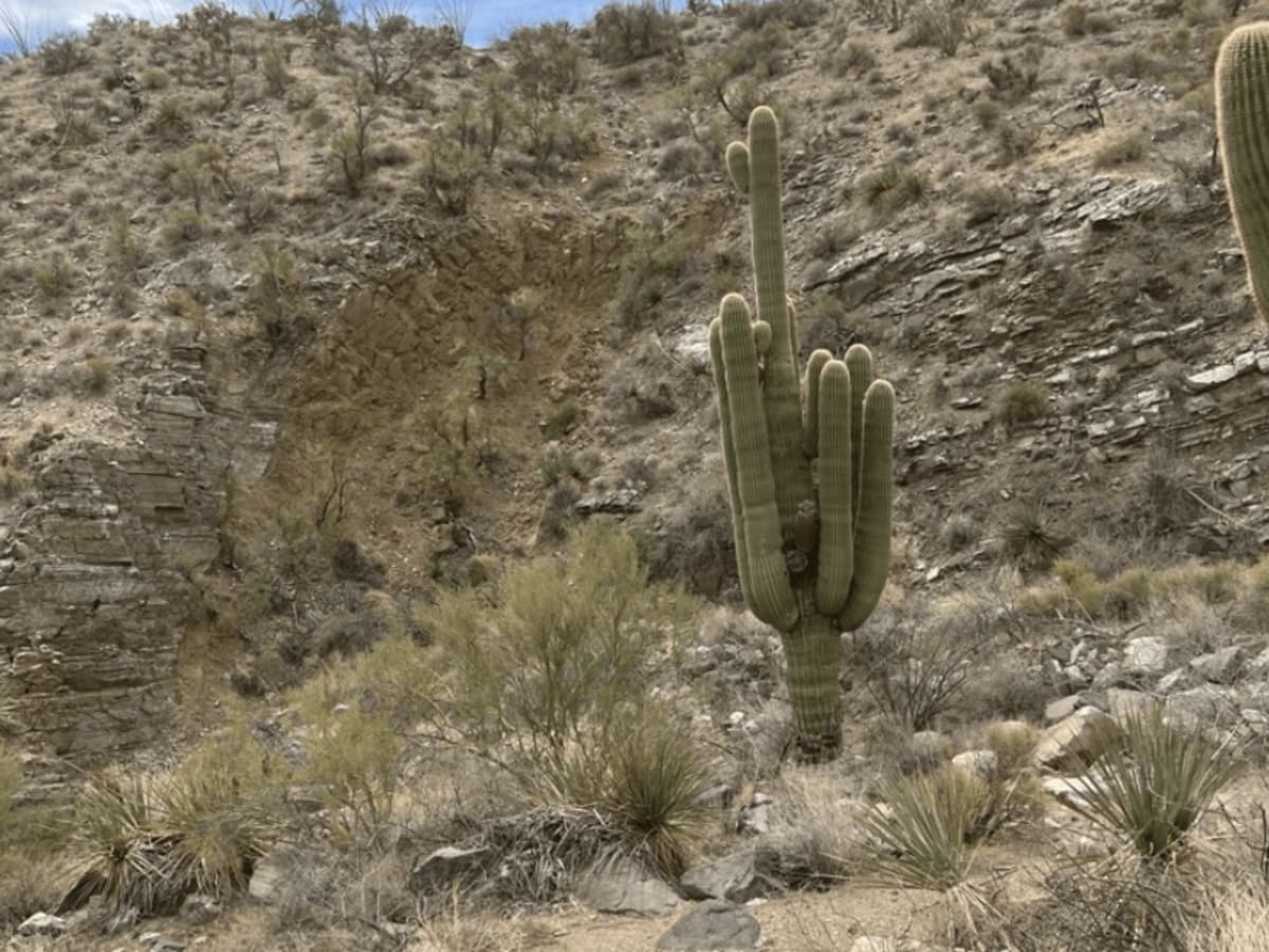 Jupiter Mine | Off-Road Trail Maps, Difficulty, Trail Status | onX Offroad