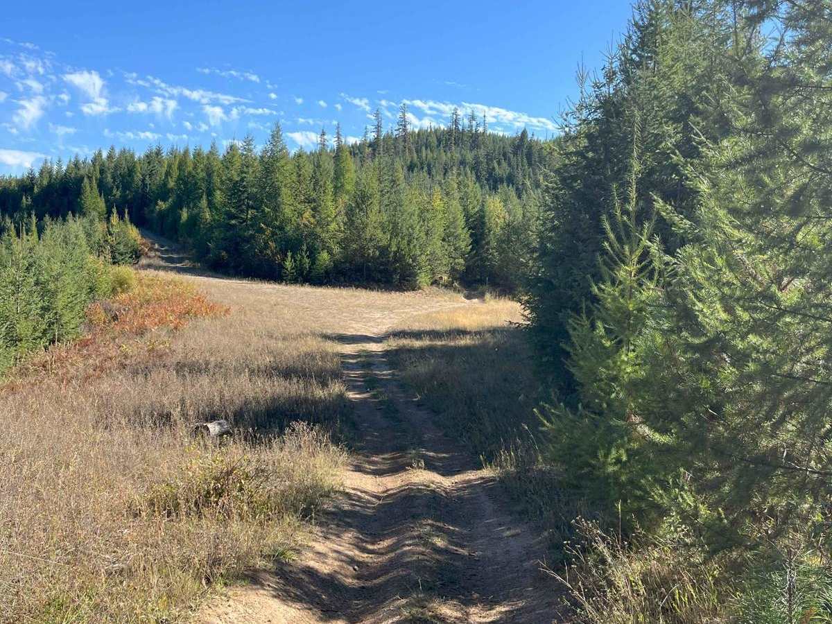 USFS 8234 Mid-Section | Off-Road Trail Maps, Difficulty, Trail Status ...