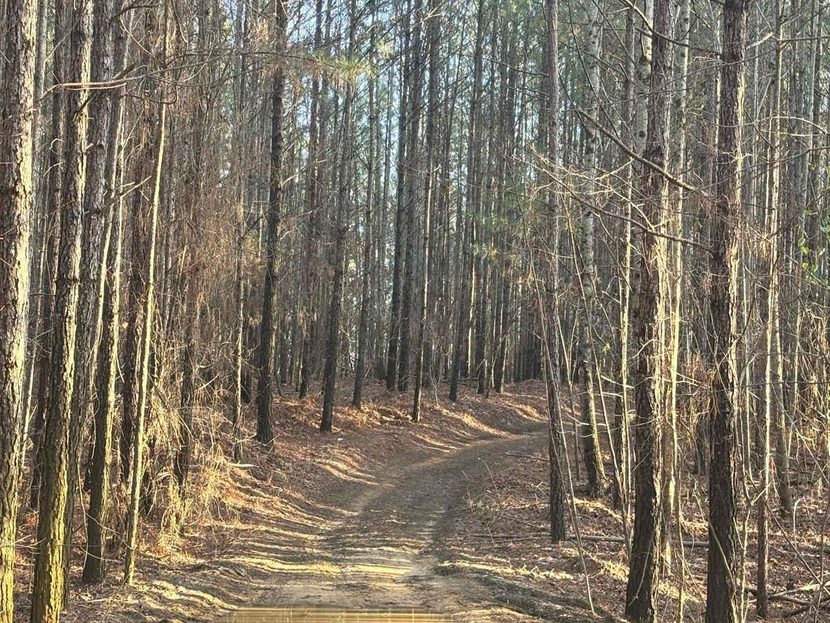 422A | Off-Road Trail Maps, Difficulty, Trail Status | onX Offroad