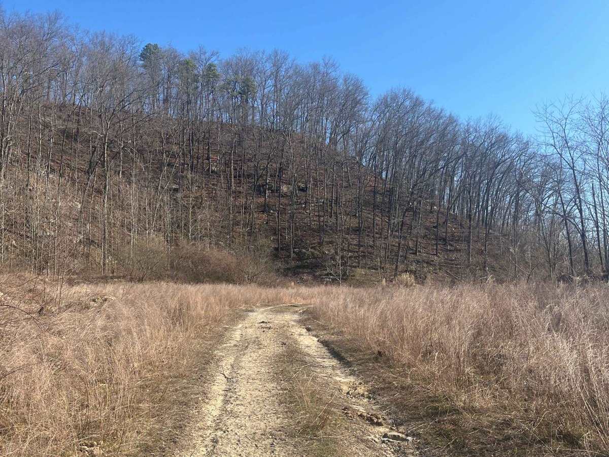 Trail 22 (Lovers Lane) | Off-Road Trail Maps, Difficulty, Trail Status ...