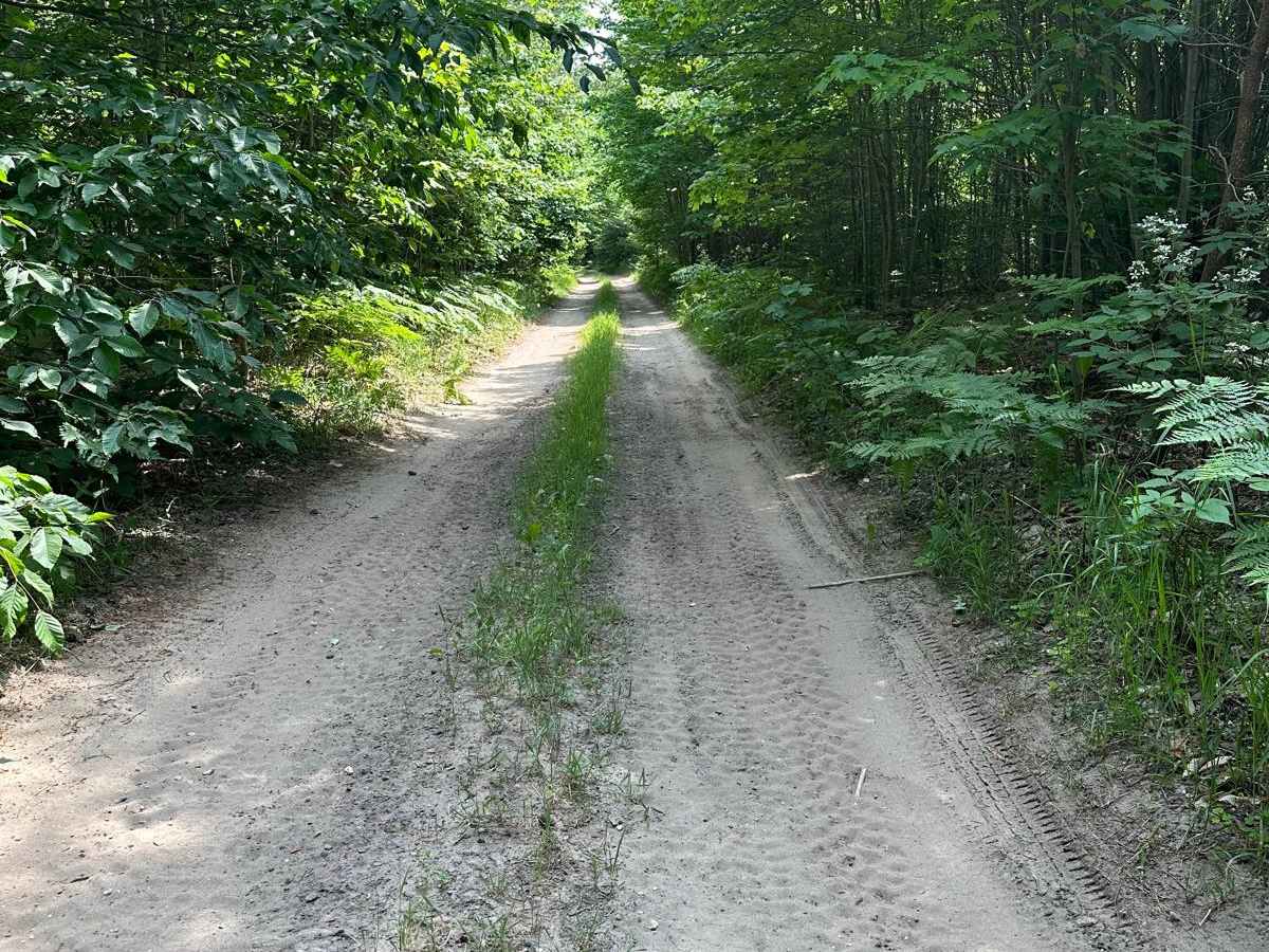 South Haze Road Part 2 | Off-Road Trail Maps, Difficulty, Trail Status ...