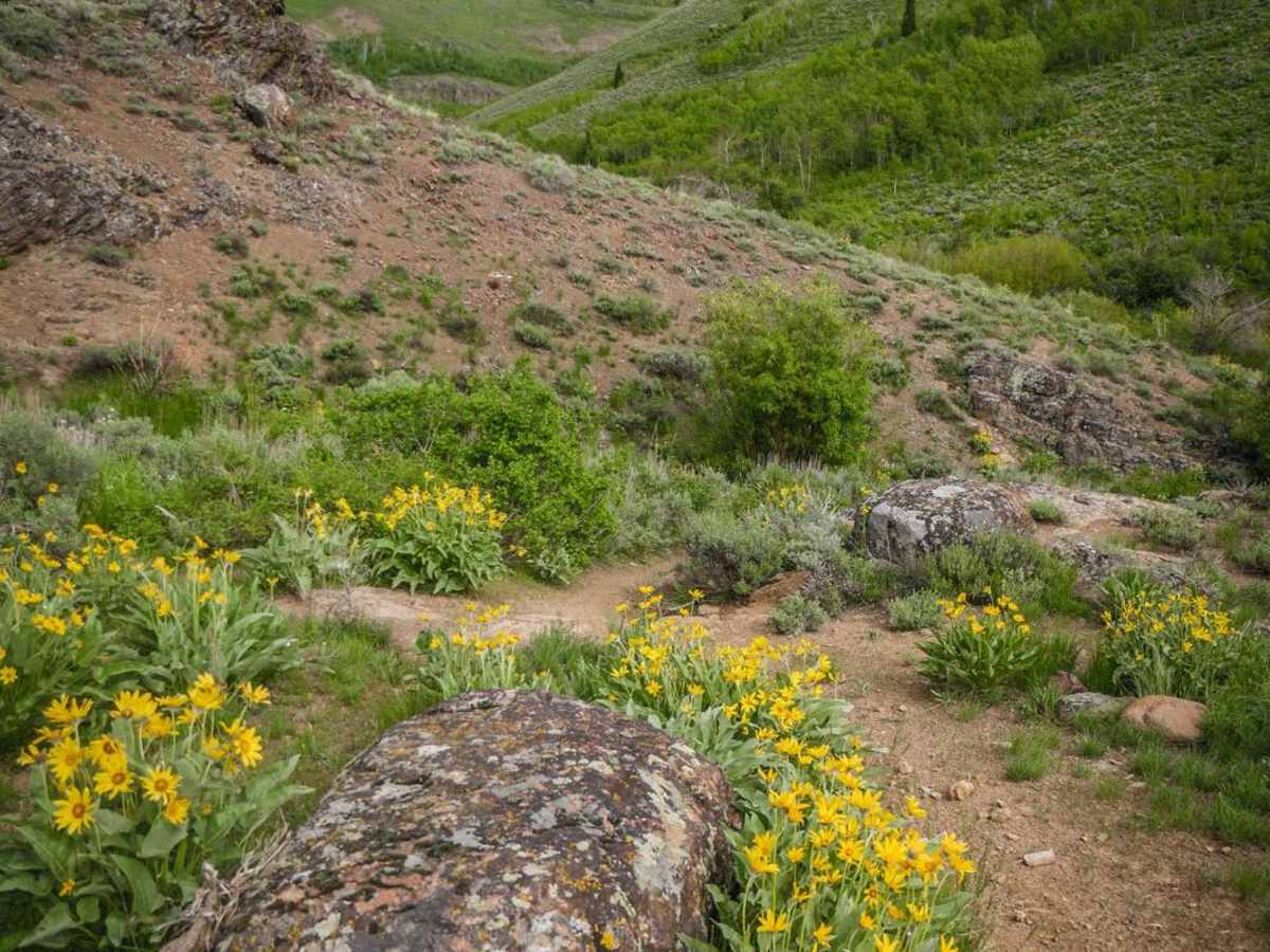 Middle Fork Shoshone Creek | Off-Road Trail Maps, Difficulty, Trail ...