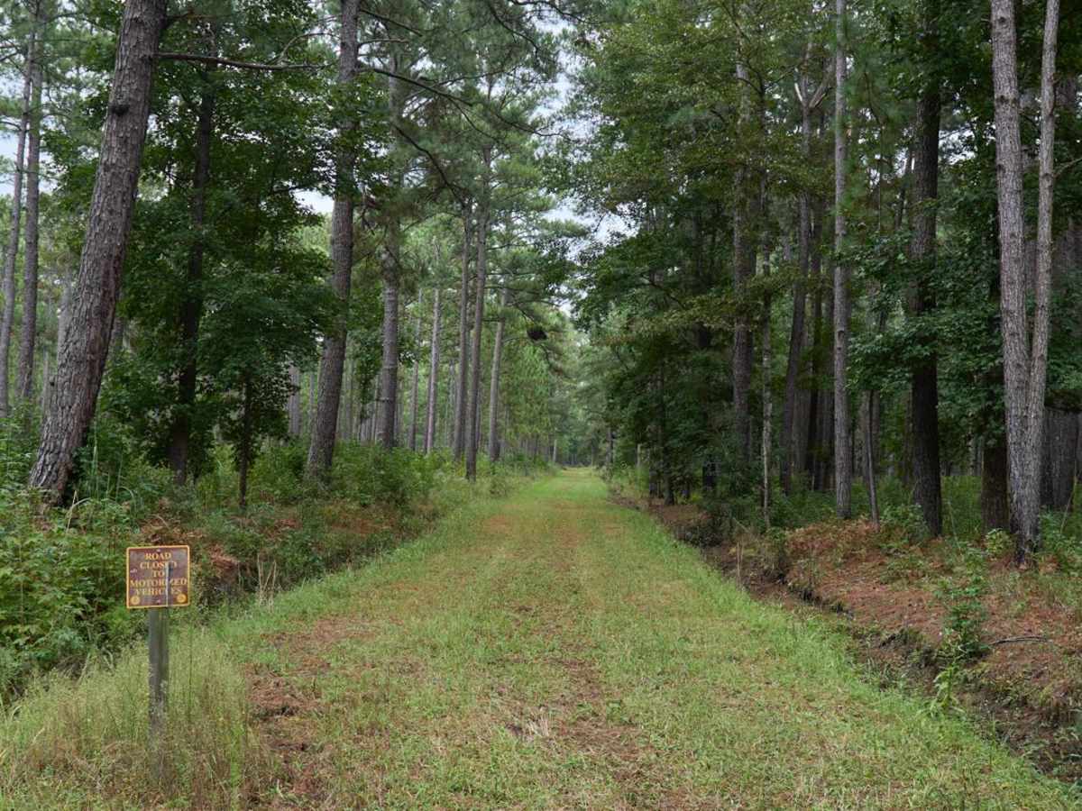 Bonneau Ferry WMA - Bottomland Hardwood Spur | Off-Road Trail Maps ...