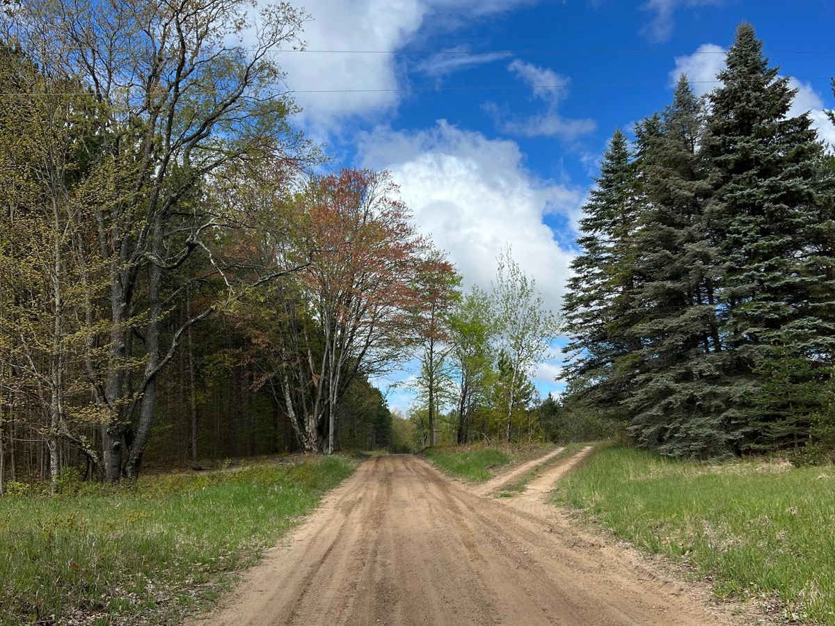 6 Trail | Off-Road Trail Maps, Difficulty, Trail Status | onX Offroad