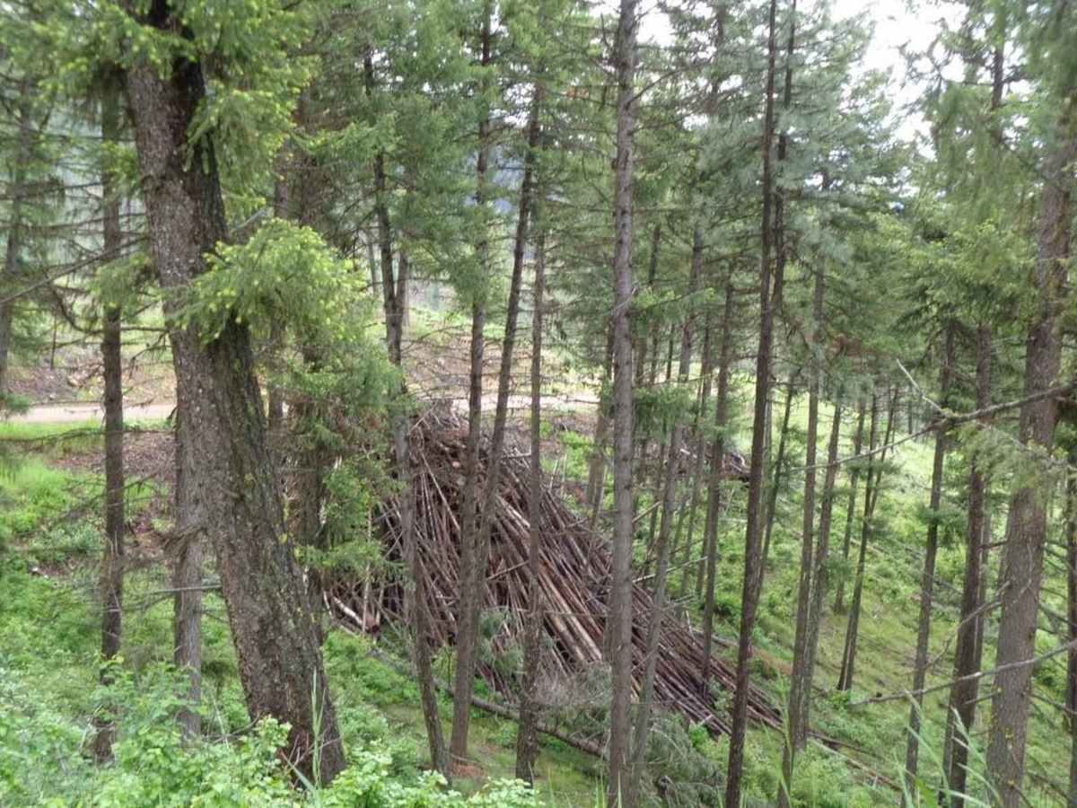 Second Creek 283 - East Fork Johnson 7882 | Off-Road Trail Maps ...