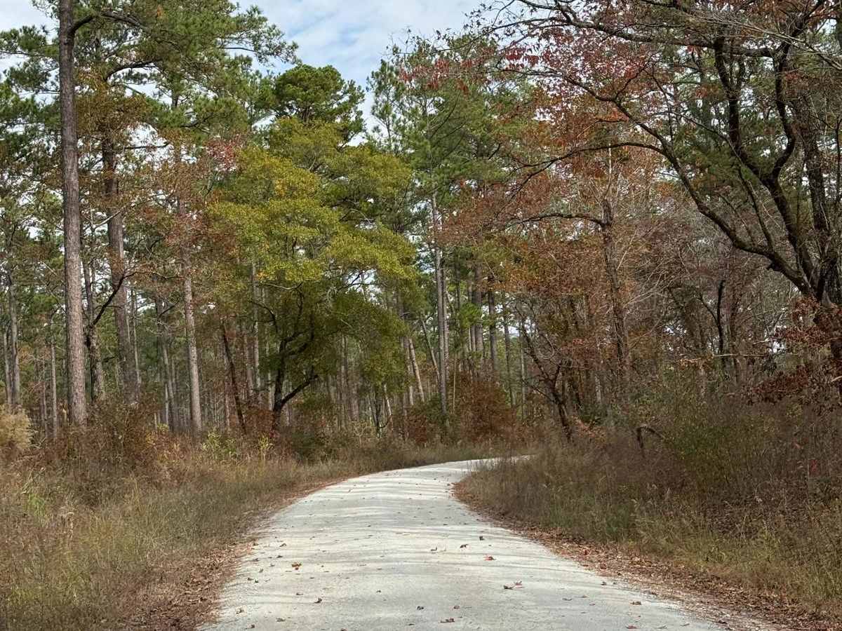Holston Creek | Off-Road Trail Maps, Difficulty, Trail Status | onX Offroad