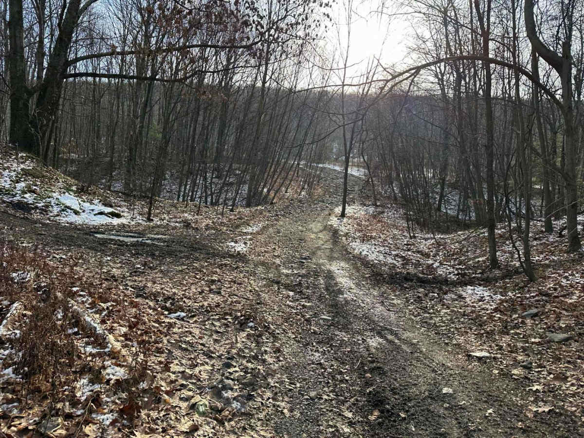 Locust Gap 29 | Off-Road Trail Maps, Difficulty, Trail Status | onX Offroad