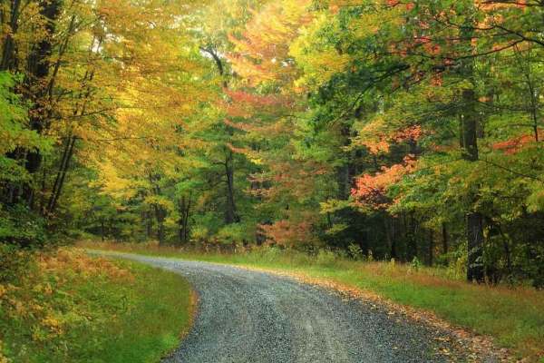 Best Off-Road Trails Near Clintondale, Pennsylvania | Maps, Ratings ...