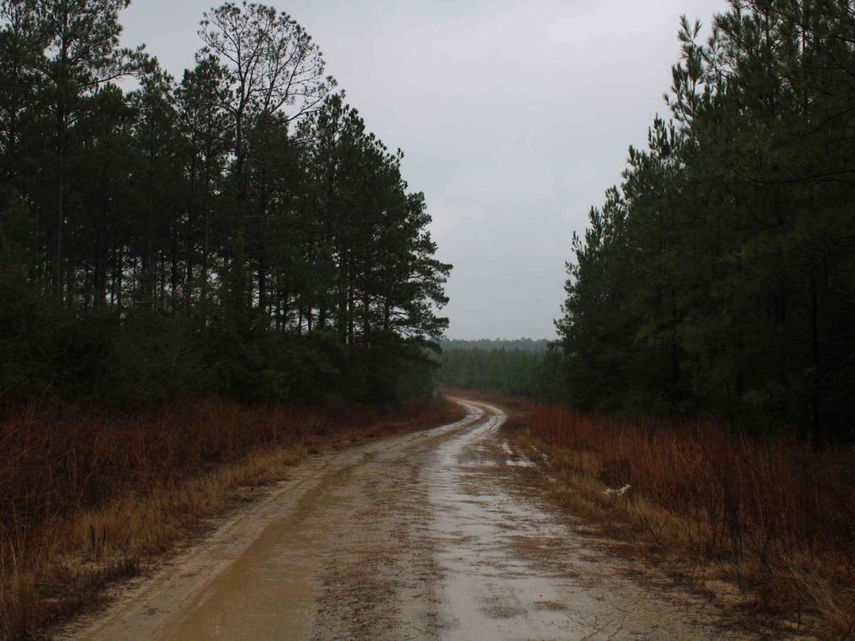 Carthage Timberlands to Kisatchie | Off-Road Trail Maps, Difficulty ...
