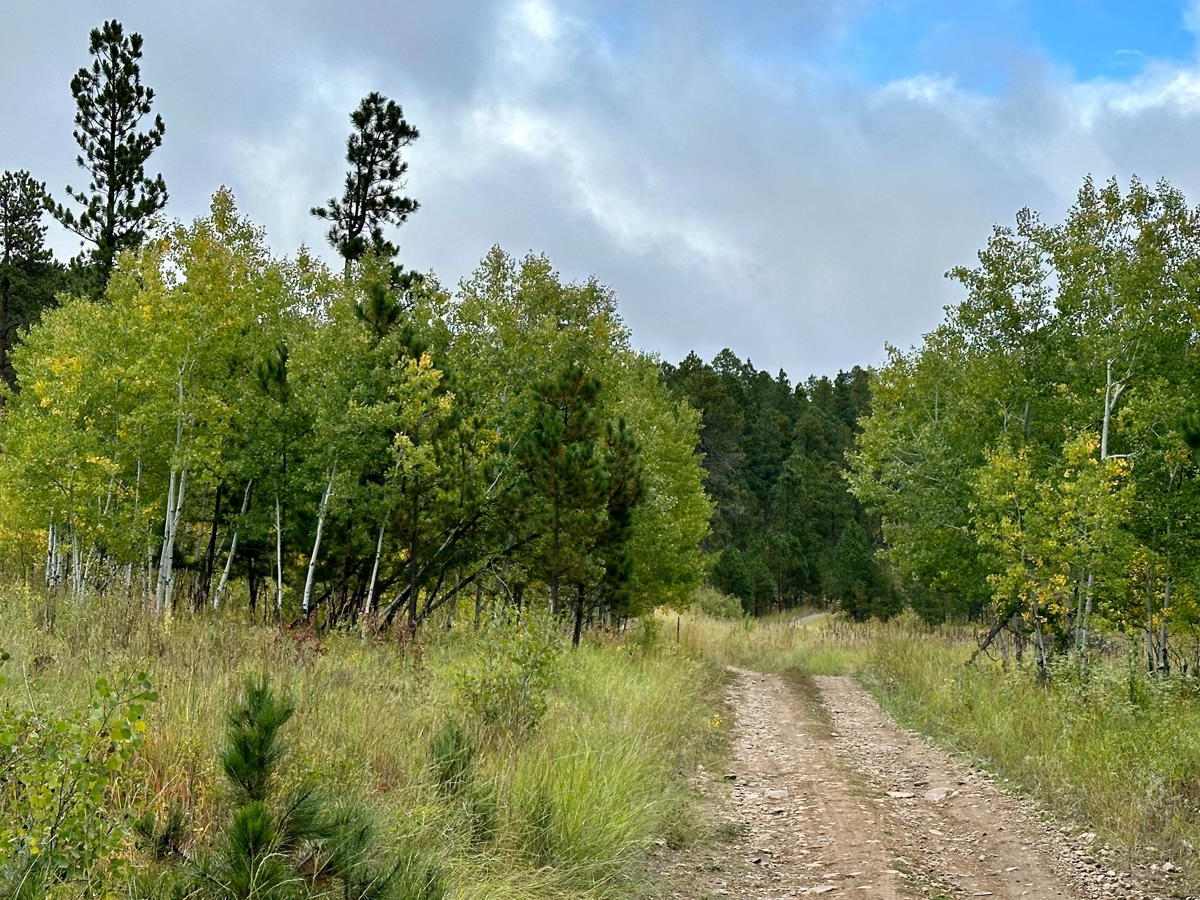 Bogus Jim (FS 201) and Duran (FS 679.1) | Off-Road Trail Maps ...