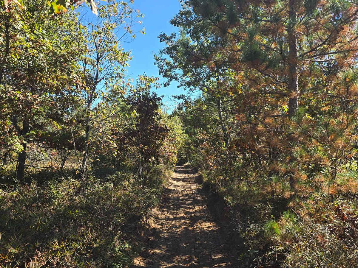Ambrose Lake Trail West Loop | Off-Road Trail Maps, Difficulty, Trail ...
