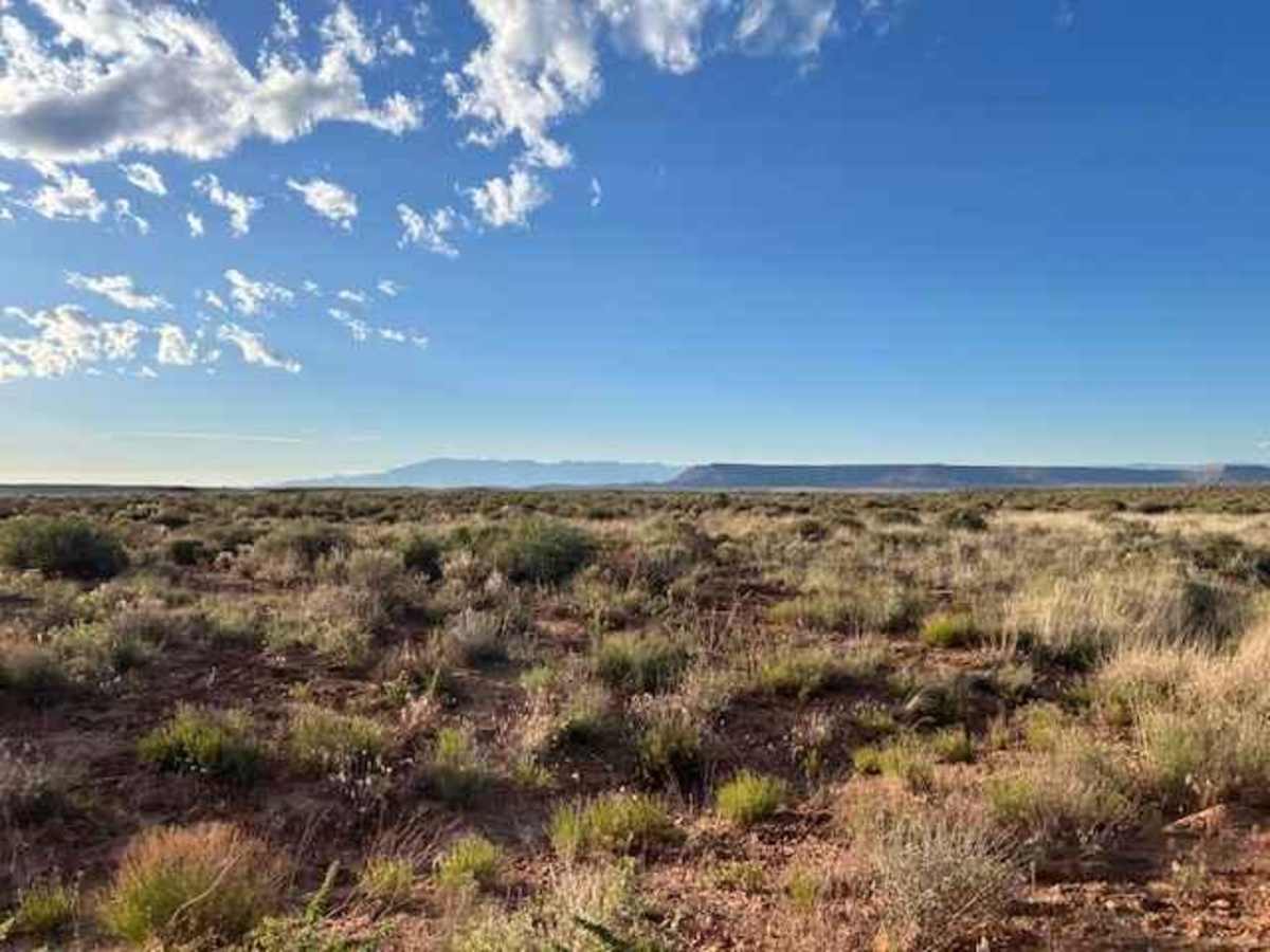 BLM 2080/Sand Ridge 1055 | Off-Road Trail Maps, Difficulty, Trail ...