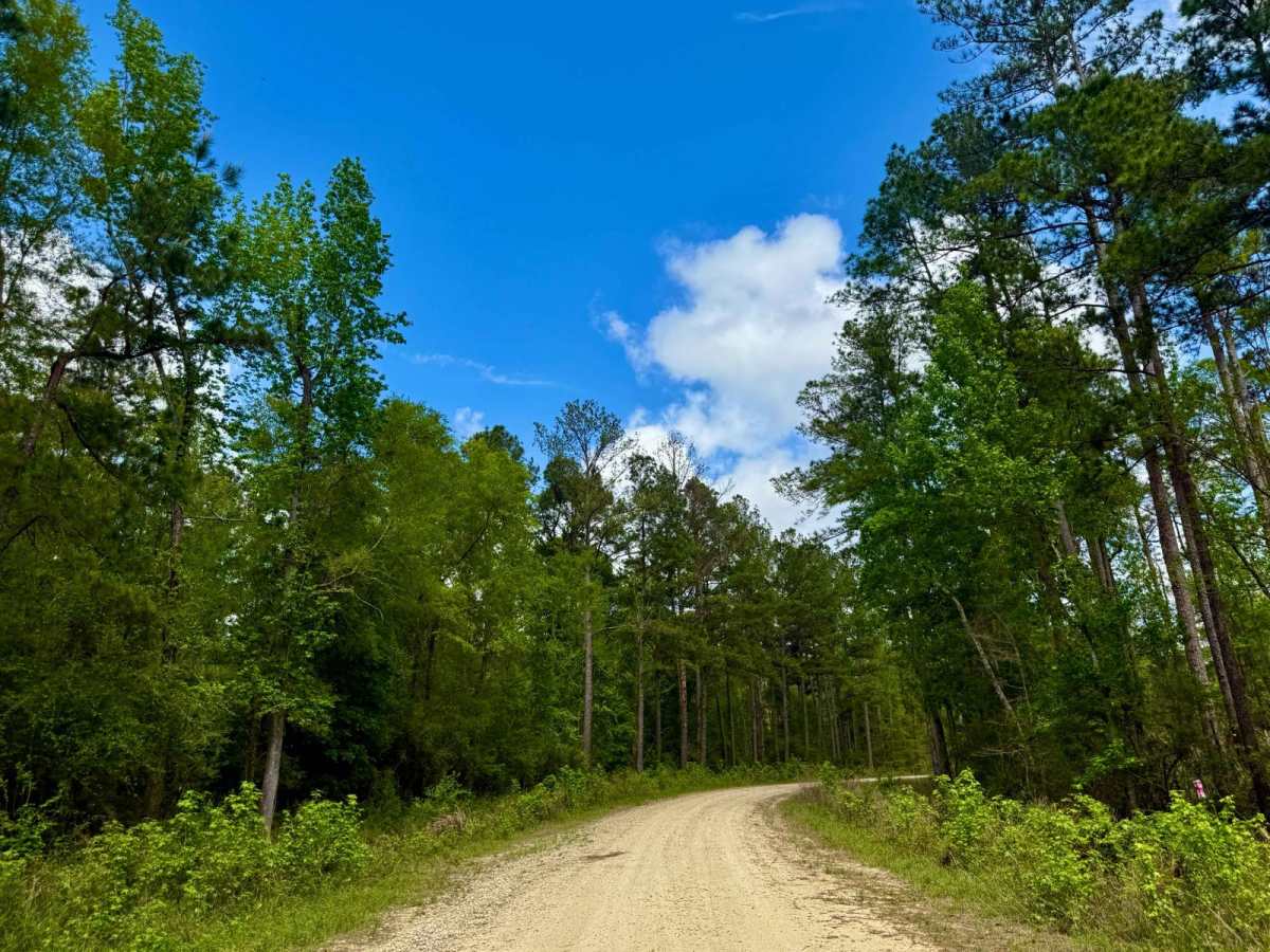 Big Cypress - FS 115 | Off-Road Trail Maps, Difficulty, Trail Status ...
