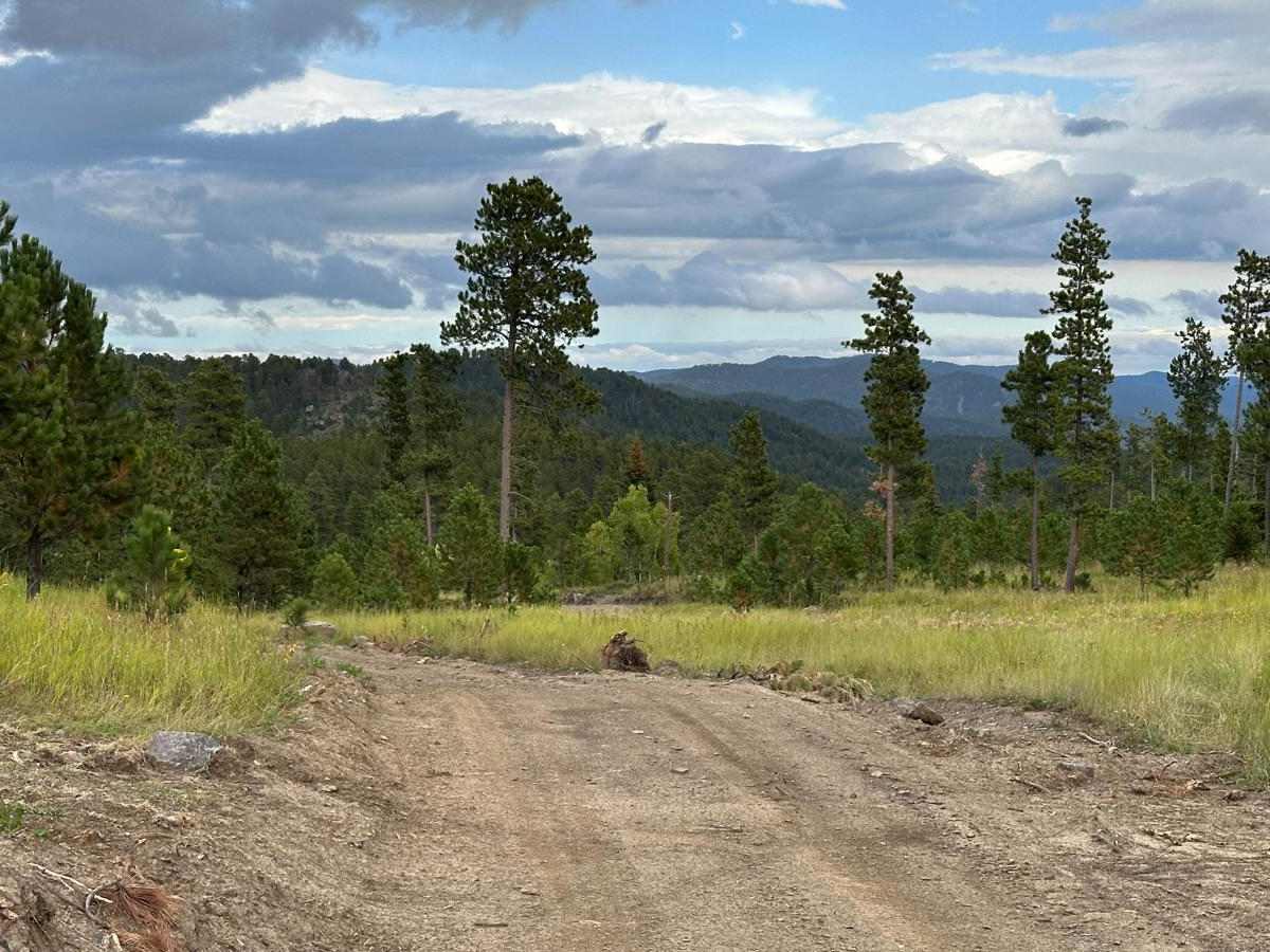 Pony Gulch, Divide, & Bloody Gulch (FS 184.1) | Off-Road Trail Maps ...