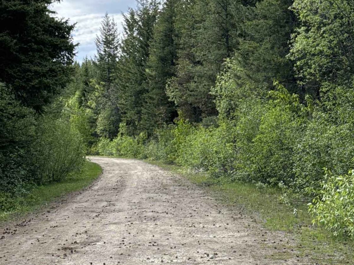 Tadpole Lake FST | Off-Road Trail Maps, Difficulty, Trail Status | onX ...