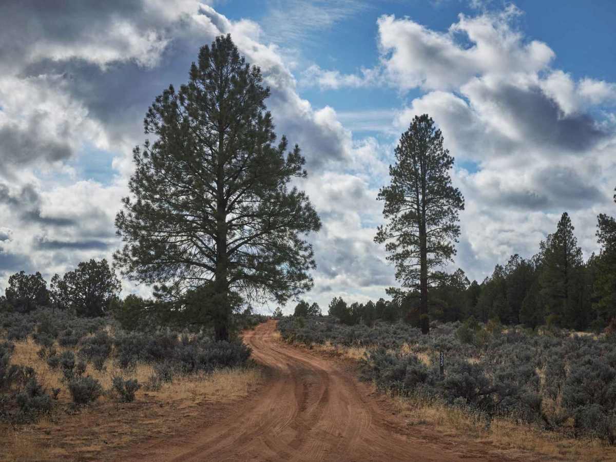 Old 335 Road | Off-Road Trail Maps, Difficulty, Trail Status | onX Offroad