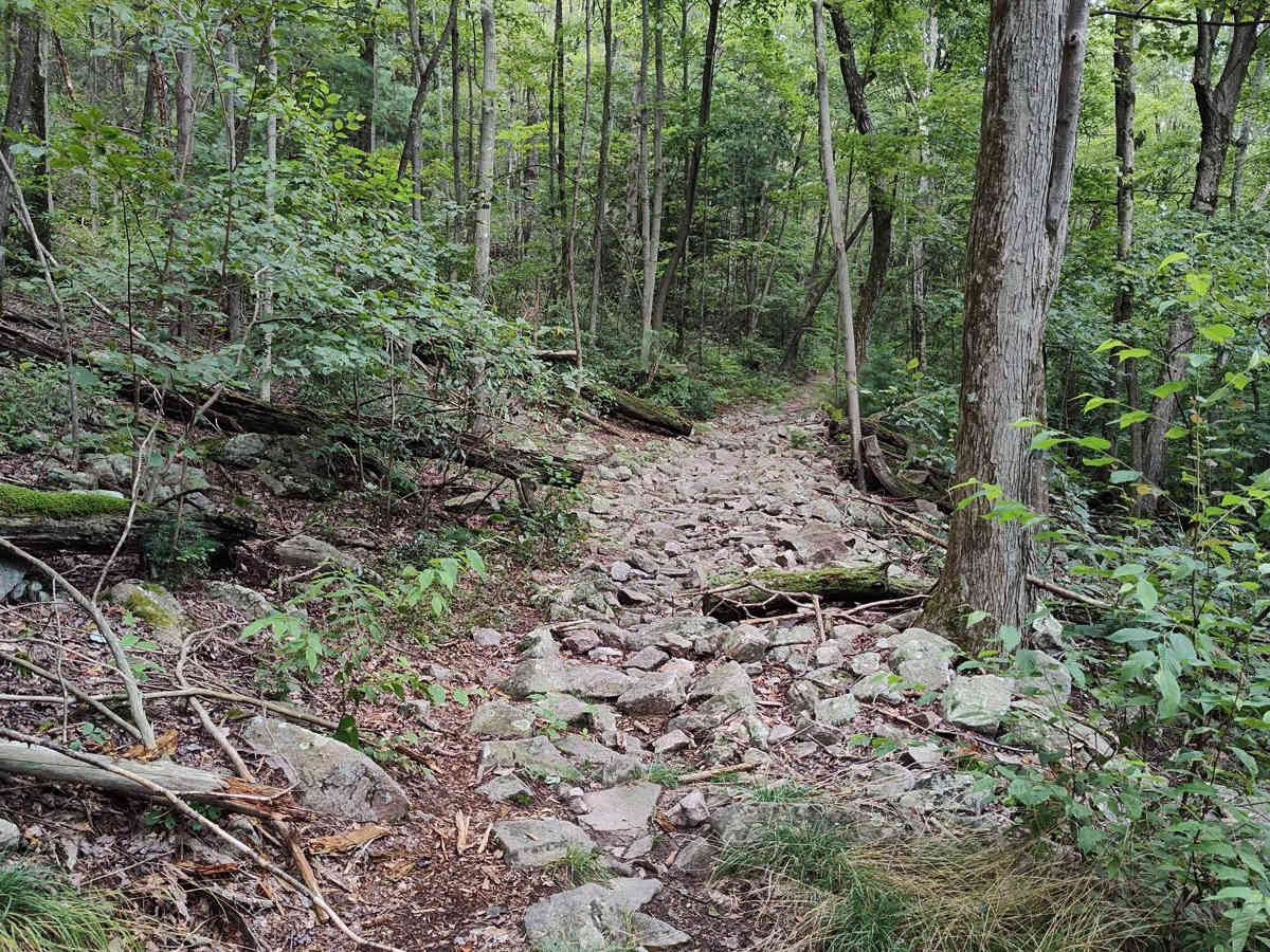 Cold Spring Trail - Single Track | Off-Road Trail Maps, Difficulty ...
