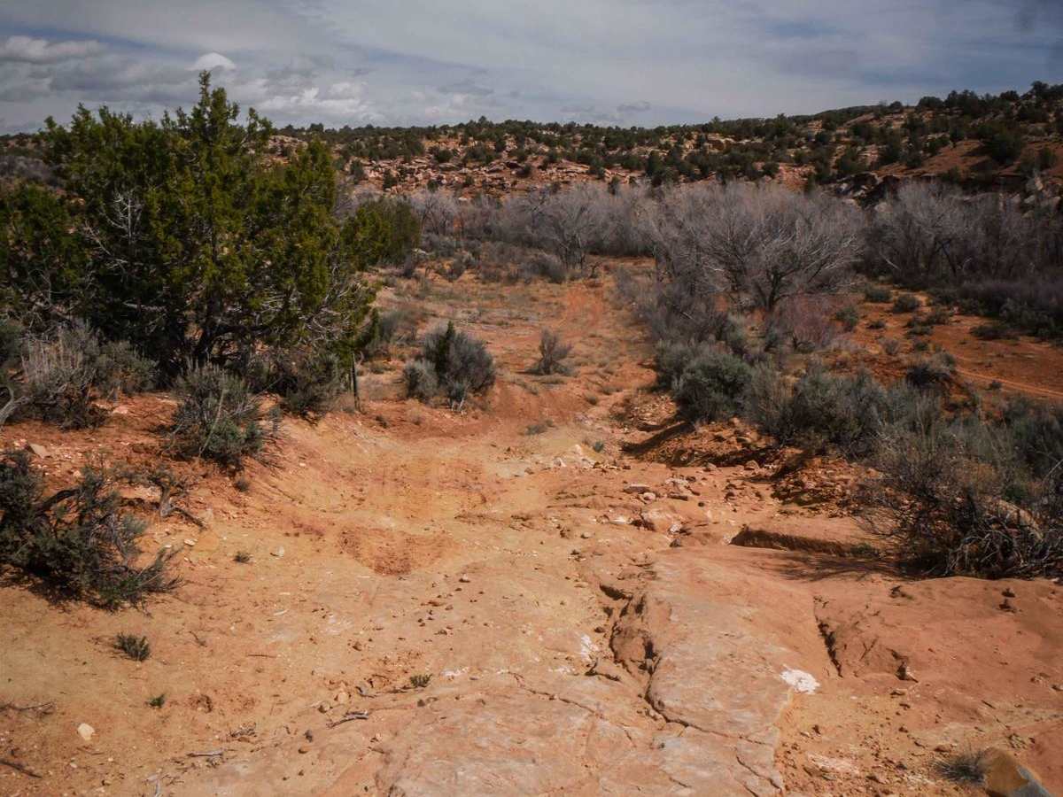 Cottonwood Creek | Off-Road Trail Maps, Difficulty, Trail Status | onX ...