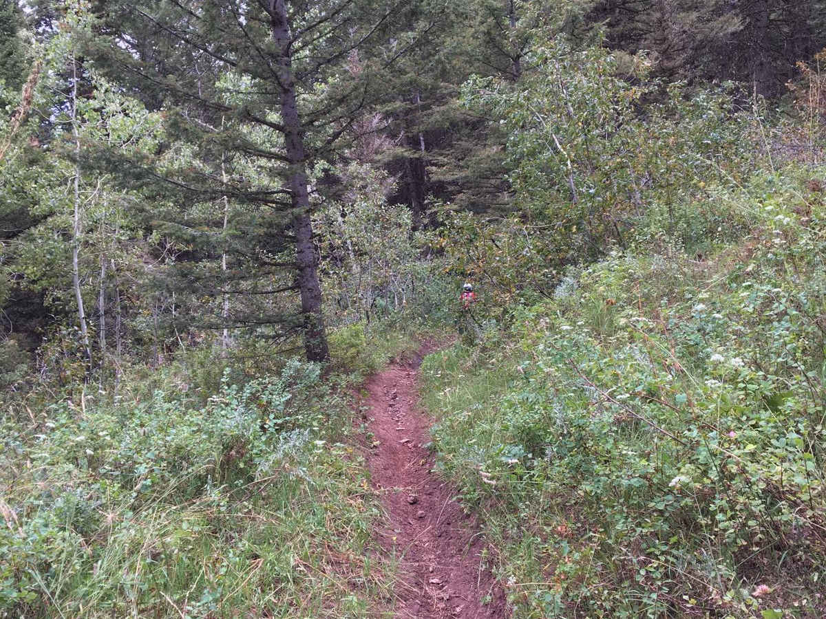 Antelope Creek to Fall Creek | Off-Road Trail Maps, Difficulty, Trail ...