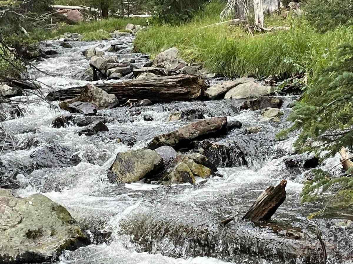 Cliff Lake | Off-Road Trail Maps, Difficulty, Trail Status | onX Offroad