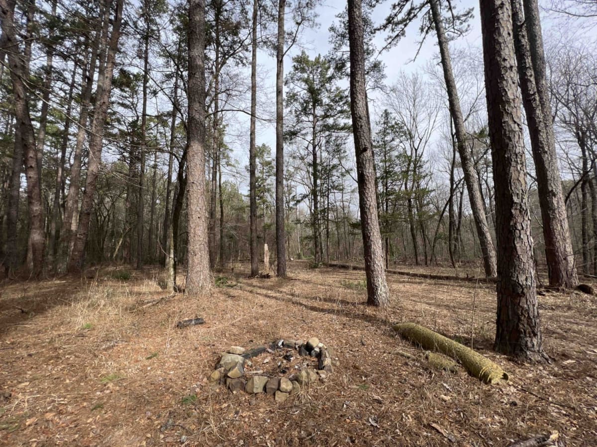 Barnhart Road 796 | Off-Road Trail Maps, Difficulty, Trail Status | onX ...