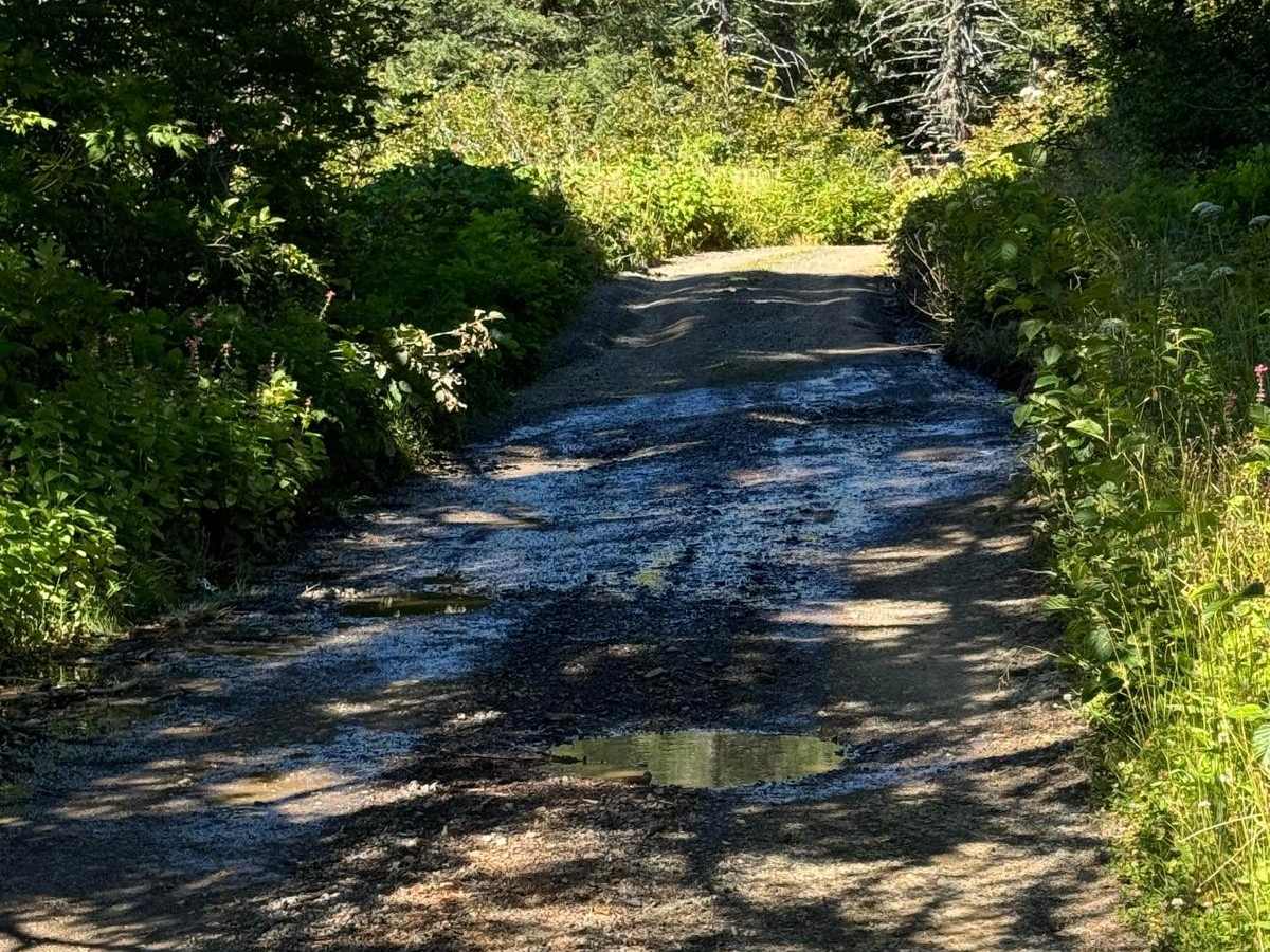 East Fork Lewis Road Connecting Trail | Off-Road Trail Maps, Difficulty ...