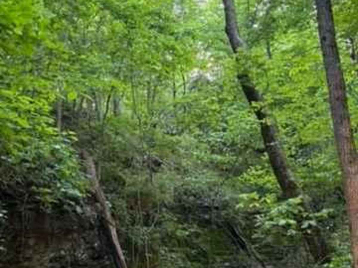 Jeff's Trail | Off-Road Trail Maps, Difficulty, Trail Status | onX Offroad
