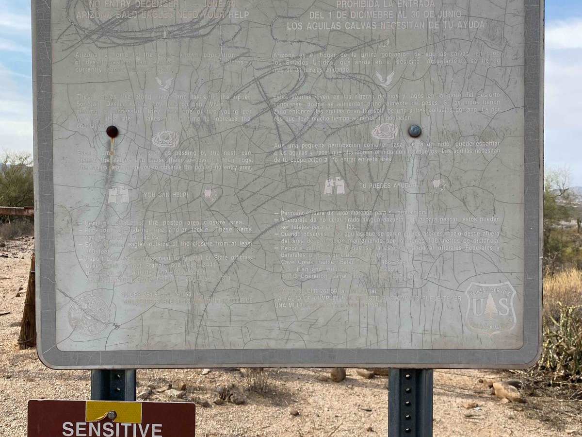 160C - Eagle Viewpoint | Off-Road Trail Maps, Difficulty, Trail Status ...