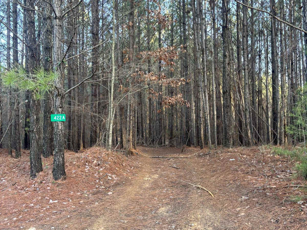 422A | Off-Road Trail Maps, Difficulty, Trail Status | onX Offroad