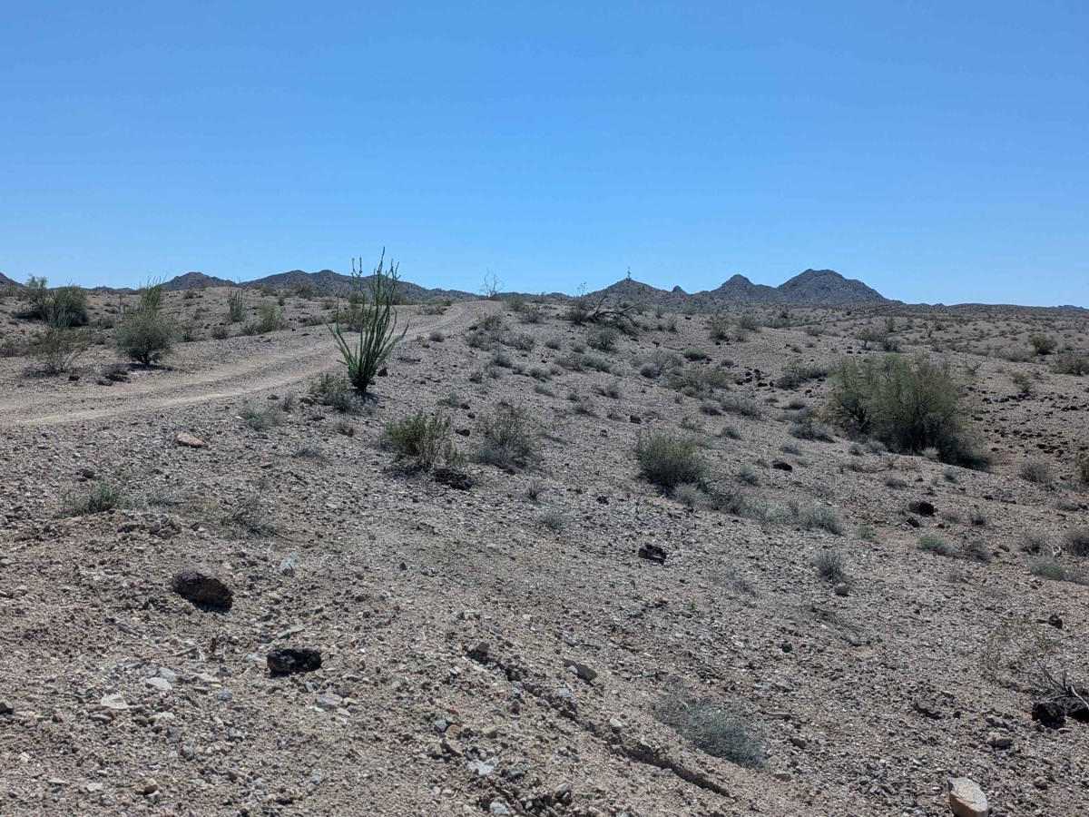 RV Oasis Bypass West | Off-Road Trail Maps, Difficulty, Trail Status ...