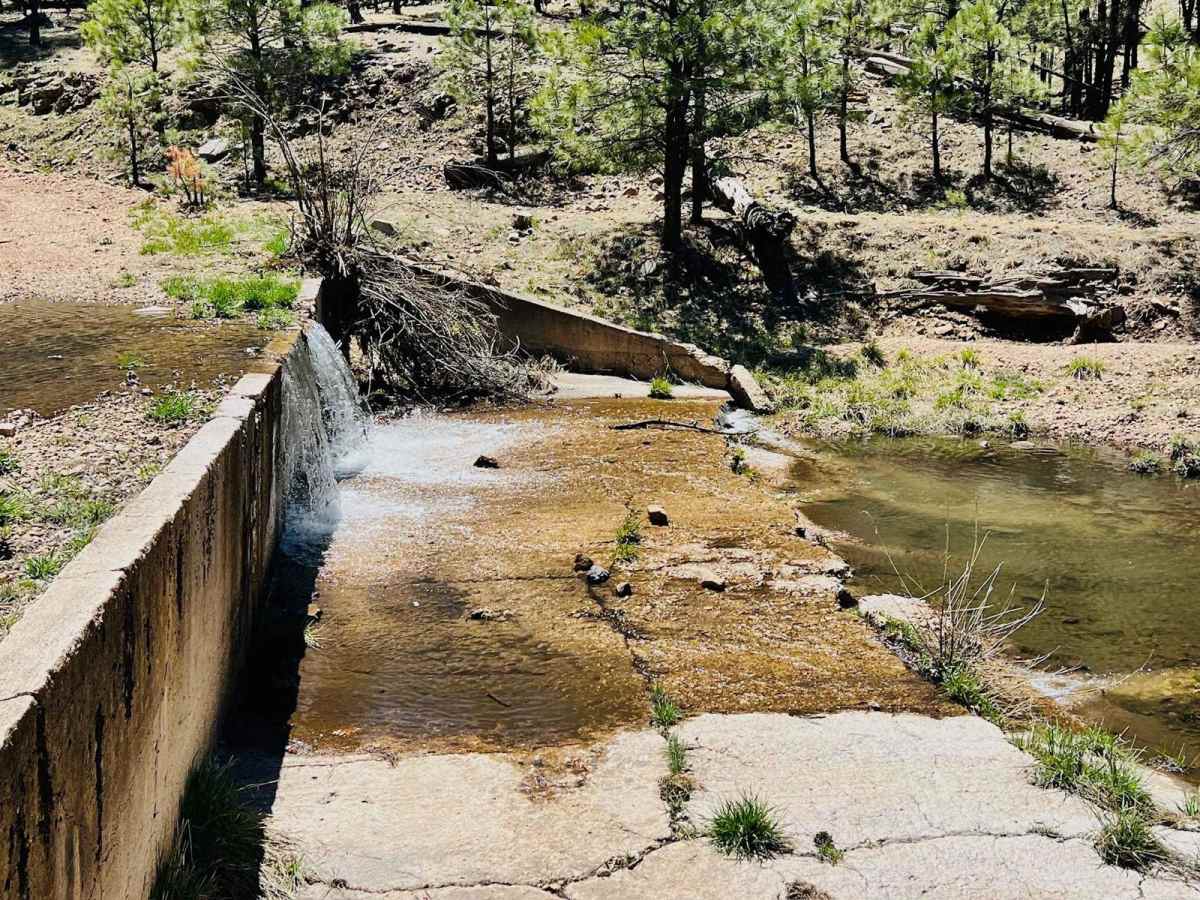 Clover Spur Maintained | Off-Road Trail Maps, Difficulty, Trail Status ...