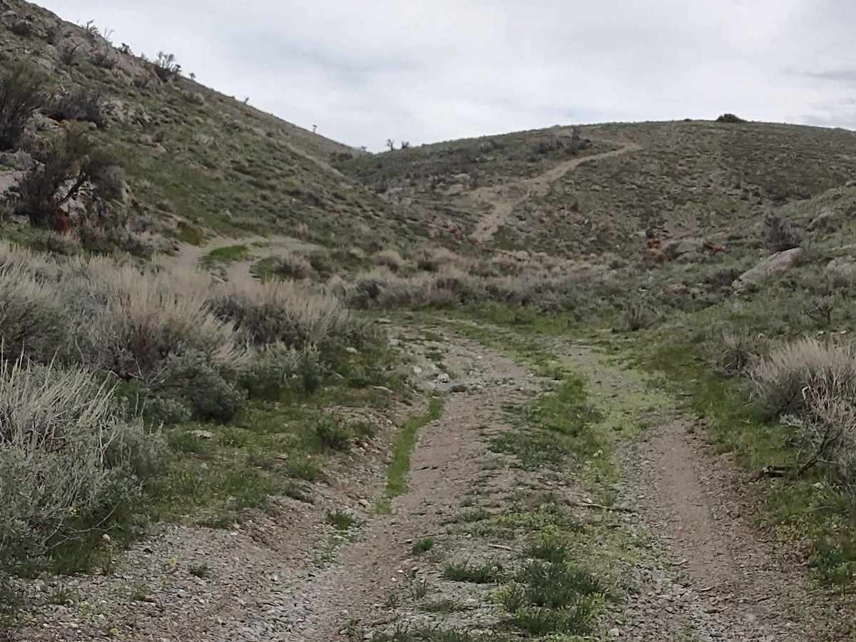 Hammond Canyon To Appendicitis Hill | Off-Road Trail Maps, Difficulty ...