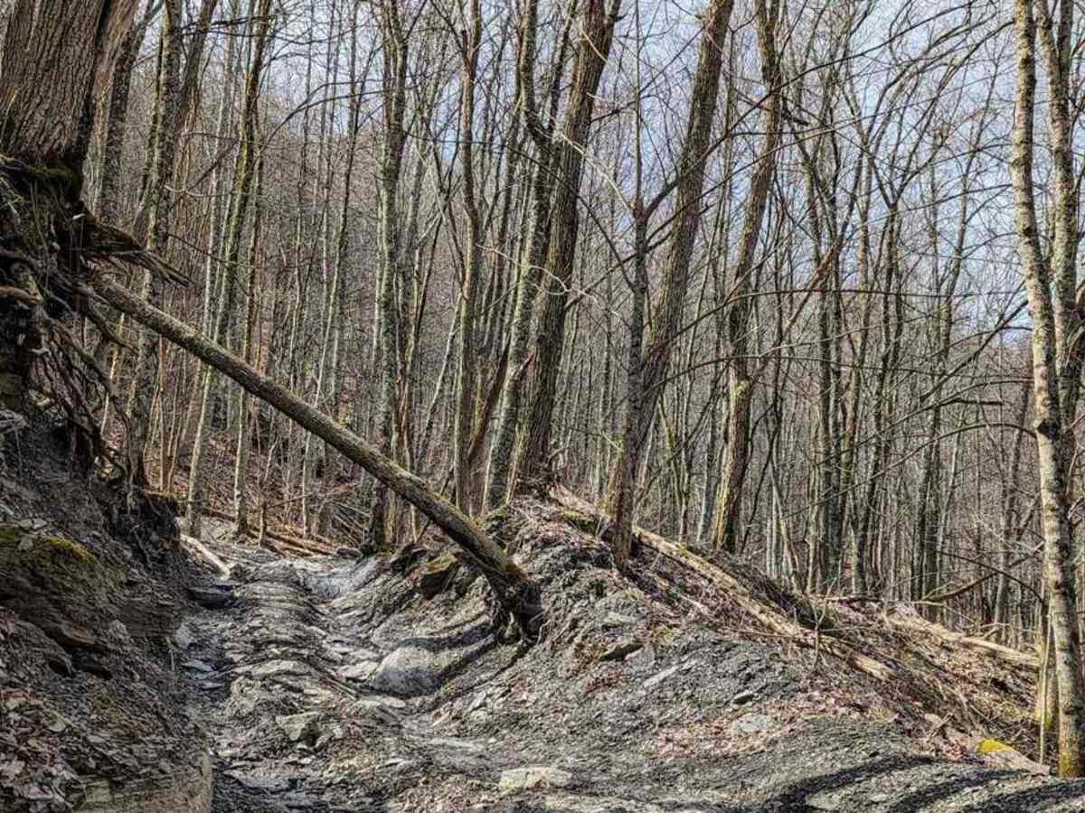 15 | Off-Road Trail Maps, Difficulty, Trail Status | onX Offroad