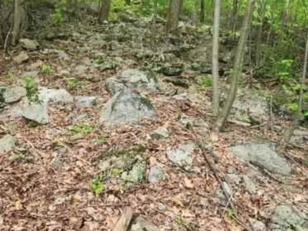 Rock Rash | Off-Road Trail Maps, Difficulty, Trail Status | onX Offroad