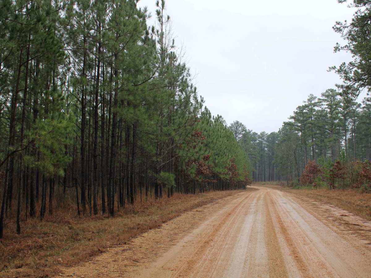 Gum Springs and Crooked Roads | Off-Road Trail Maps, Difficulty, Trail ...