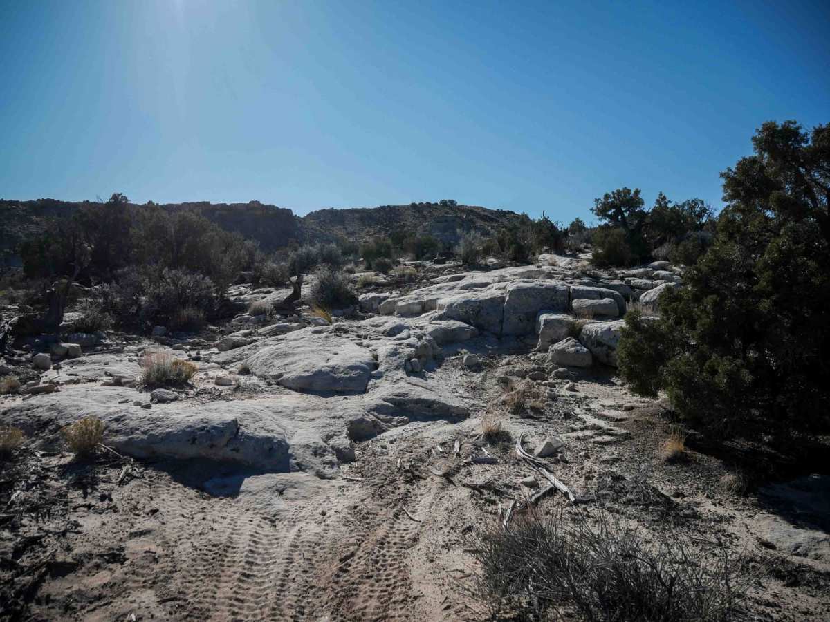 ATV Connector | Off-Road Trail Maps, Difficulty, Trail Status | onX Offroad