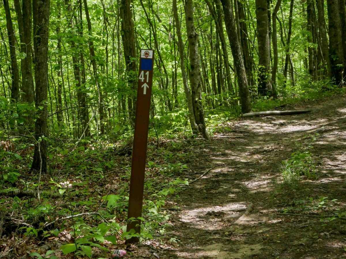 OP 41 | Off-Road Trail Maps, Difficulty, Trail Status | onX Offroad