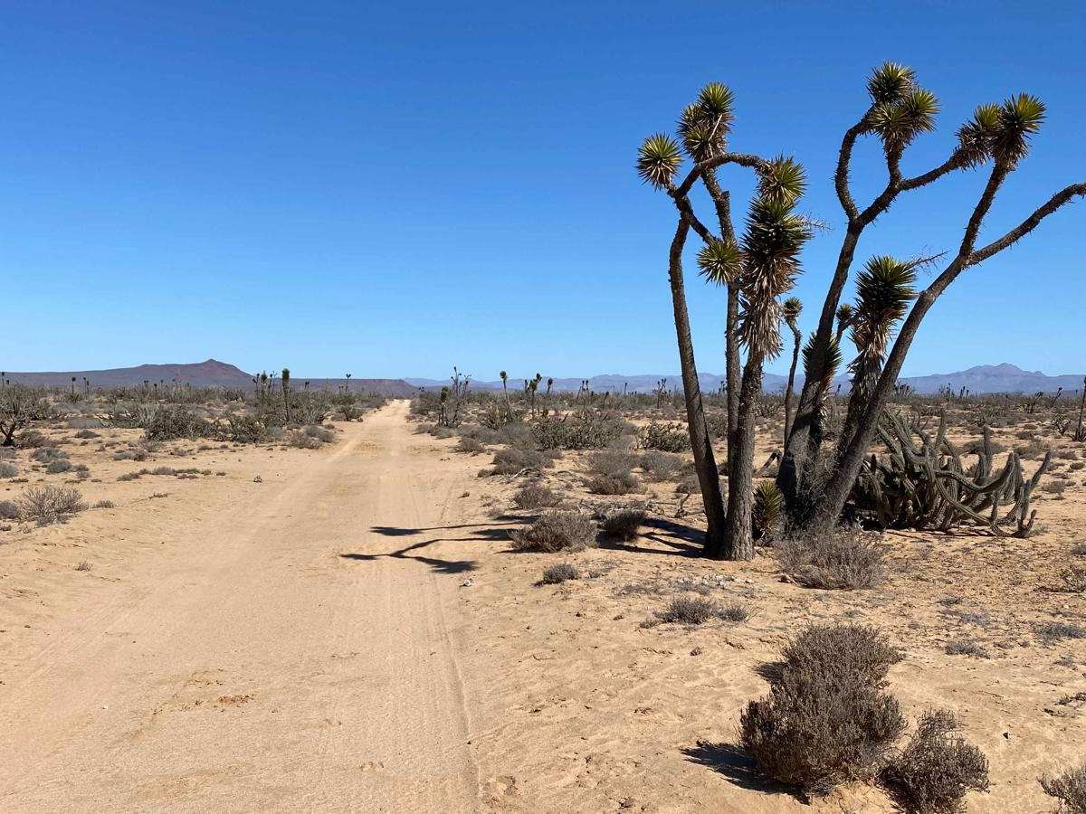Four Corners West | Off-Road Trail Maps, Difficulty, Trail Status | onX ...