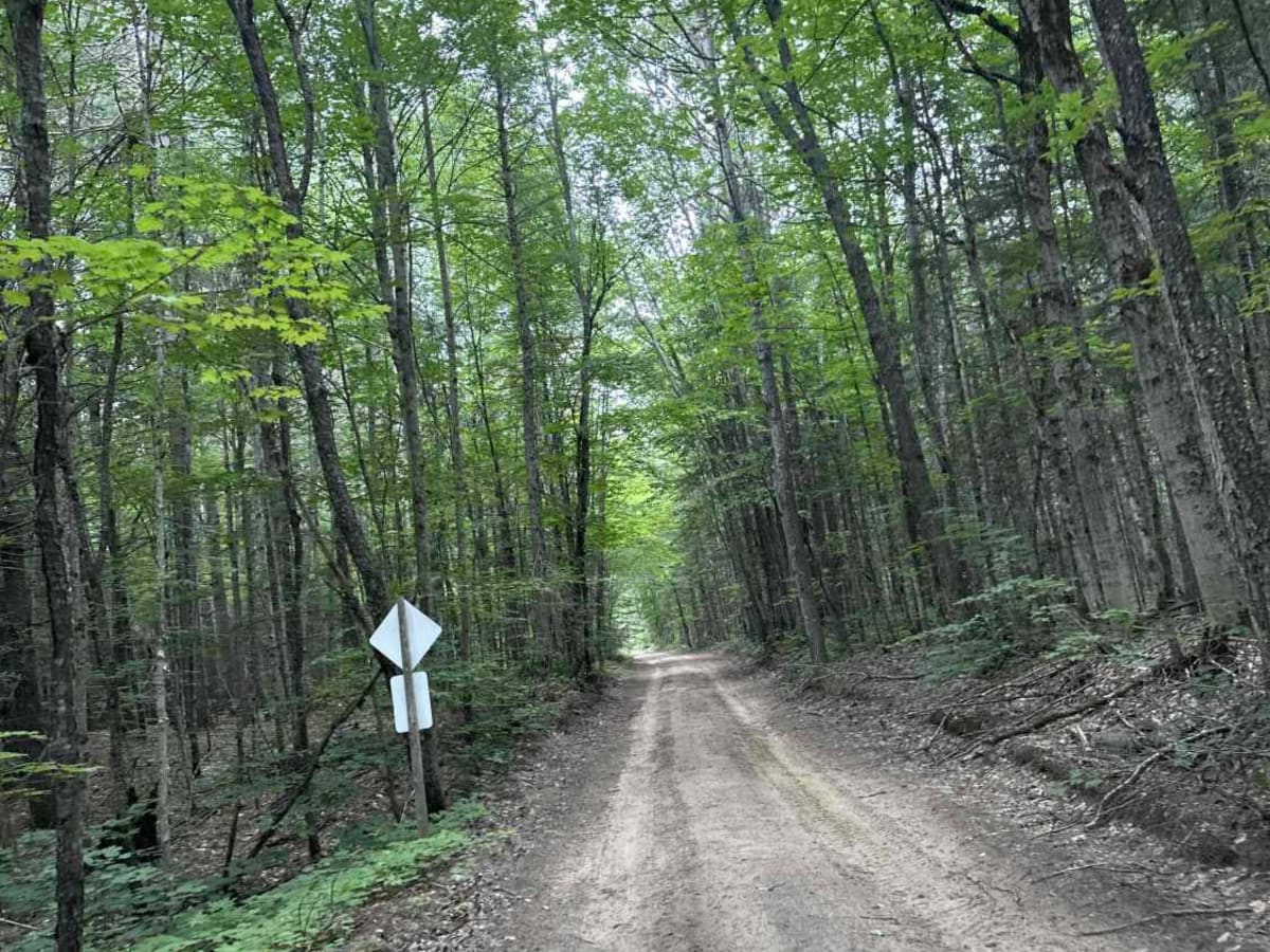 Camp One | Off-Road Trail Maps, Difficulty, Trail Status | onX Offroad