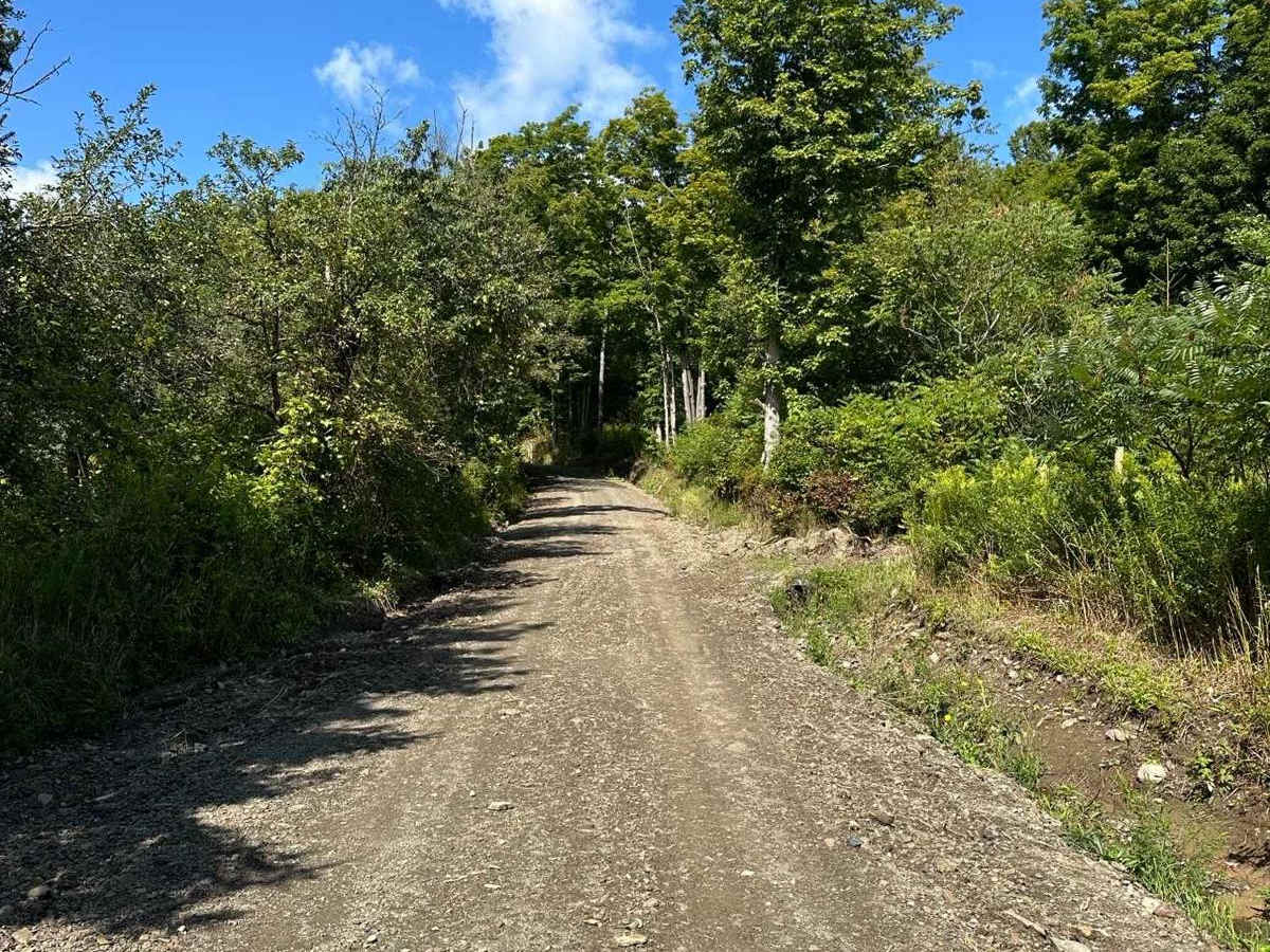Ridge Road | Off-Road Trail Maps, Difficulty, Trail Status | onX Offroad