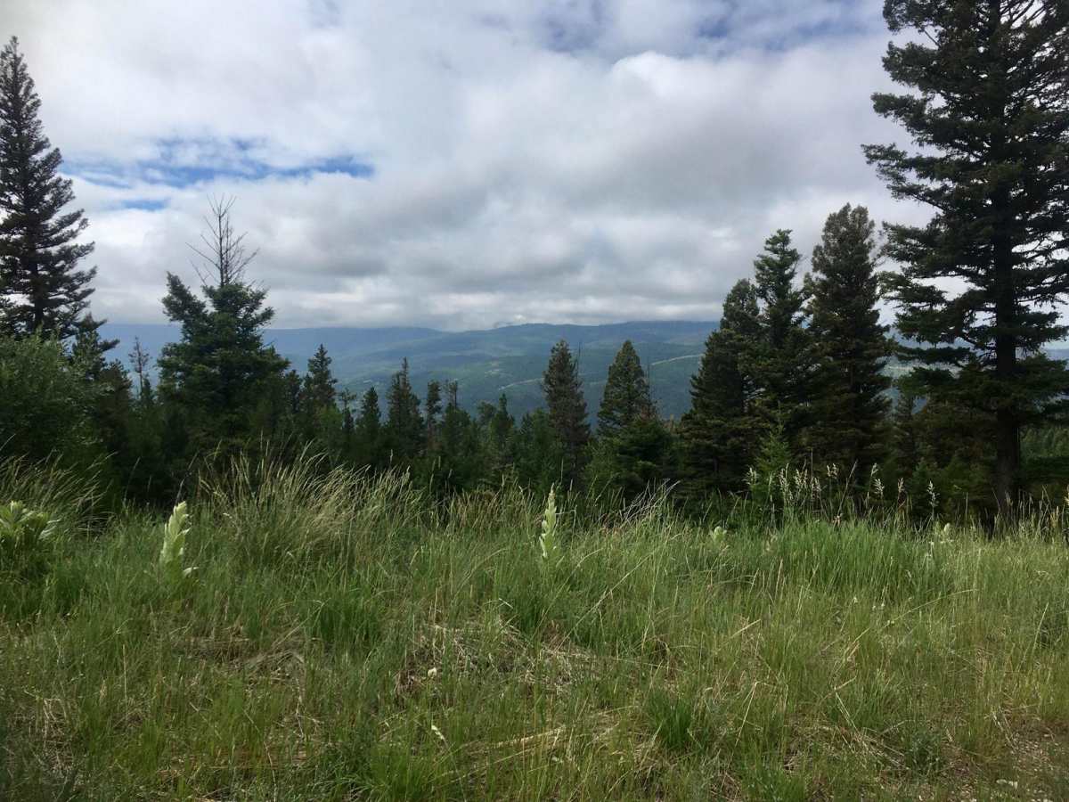 Lone Point Drive - FS 1824 | Off-Road Trail Maps, Difficulty, Trail ...